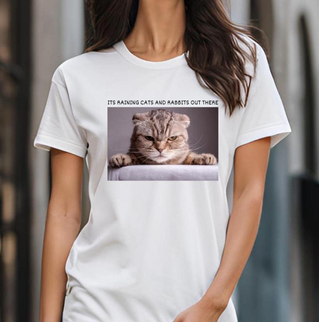 Moody Cat T Shirt, Kitten, Rainy Day, Graphic Tee, Pet Loverful, Animal ...