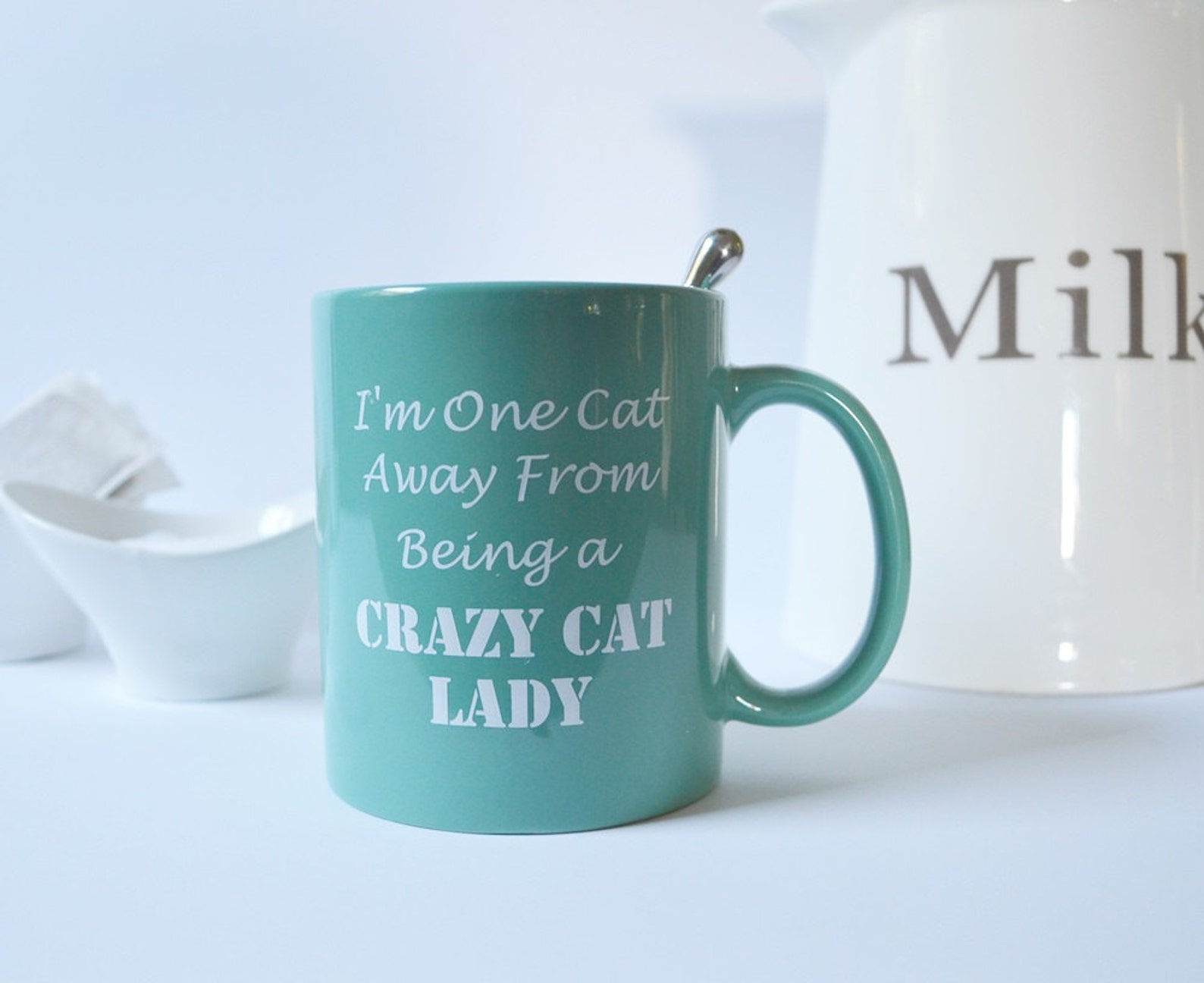 Cat Person Mug Crazy Cat Lady Gift Ceramic Coffee Cup Teal | Etsy