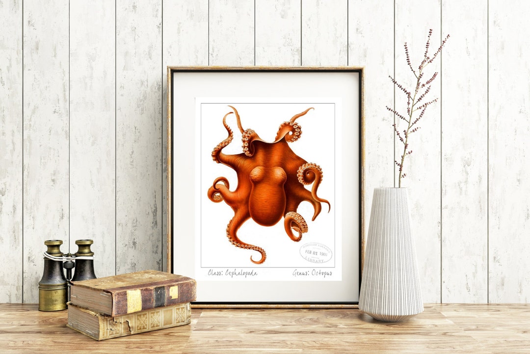 Instant Download Octopus Specimen Art Print Your Own Digital - Etsy