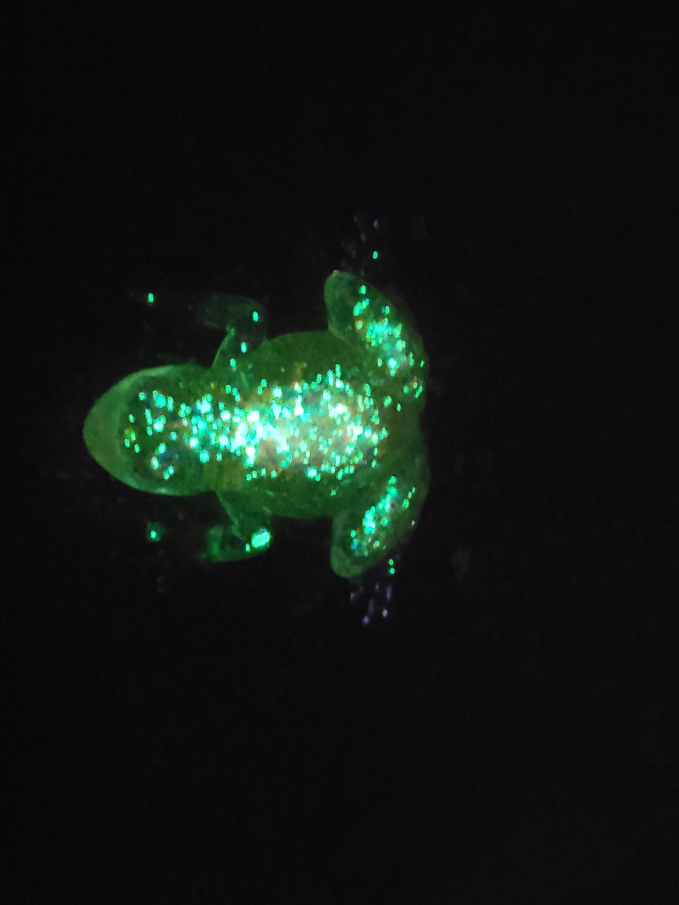 Clear Glowing Glittery Frog - Etsy