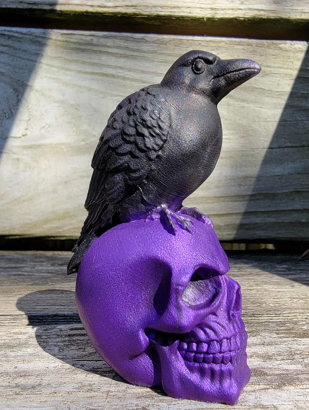Crow Perched on Skull - Etsy