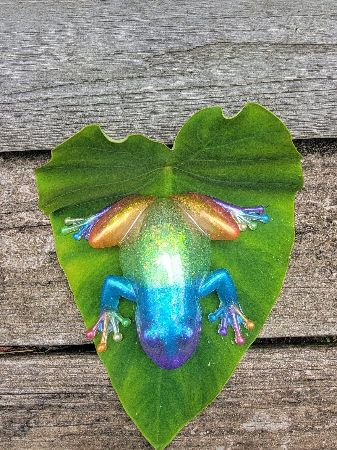 Rainbow Glittery Frog - Etsy