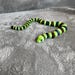 Cute Snake 3D Print Fidget Desk Toy - Etsy