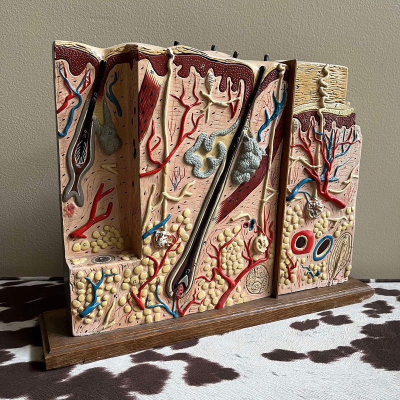 JennSkiVintage - Etsy