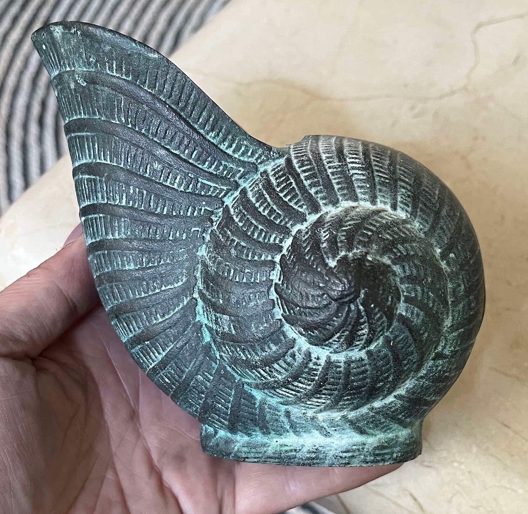 Nautilus Shell Sculpture - Bronze Vase - Coastal - Beach Art - Etsy