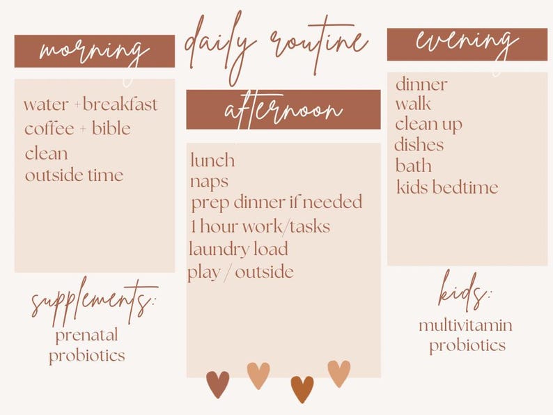 Cleaning Schedule & Daily Routine Charts Template - Etsy