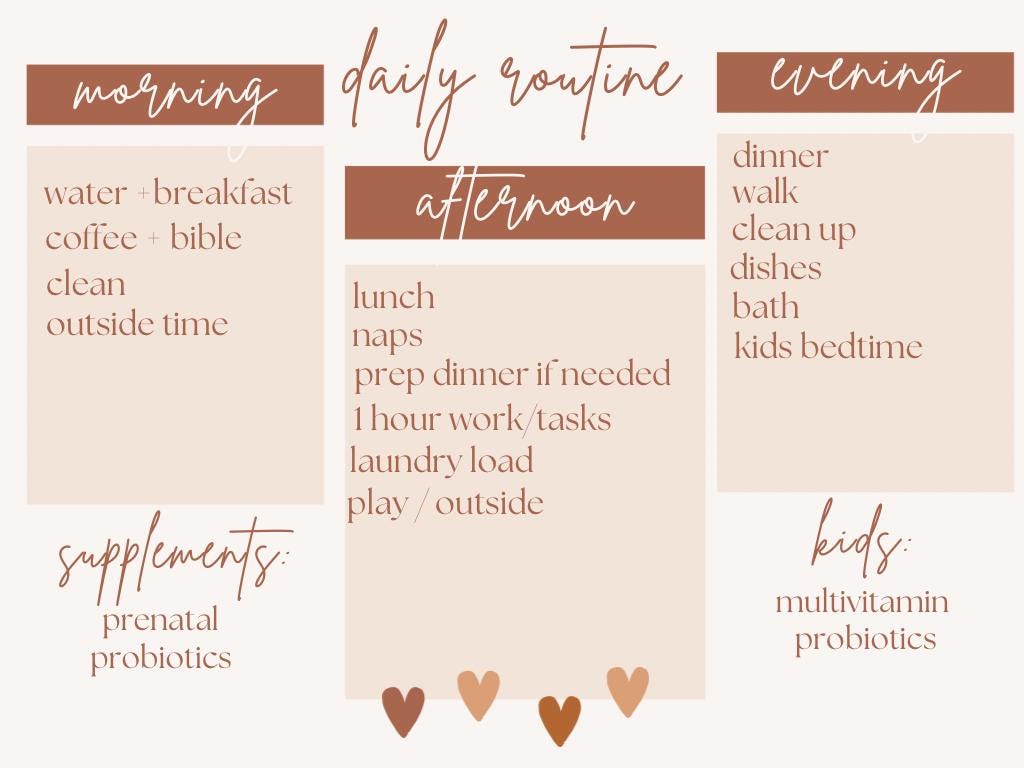 Cleaning Schedule & Daily Routine Charts Template - Etsy