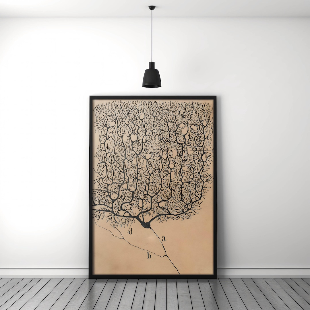 Santiago Ramón Y Cajal Neuron Art - Vintage Brain Illustration ...