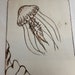Pyrography, Wood Burning, Art - Etsy