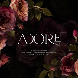 Adore Moody Roses Clip Art - Burgundy Pink Realistic Roses PNG - Frames ...