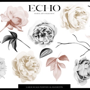 Echo Modern Botanical Floral Clip Art & Digital Graphics Collection ...