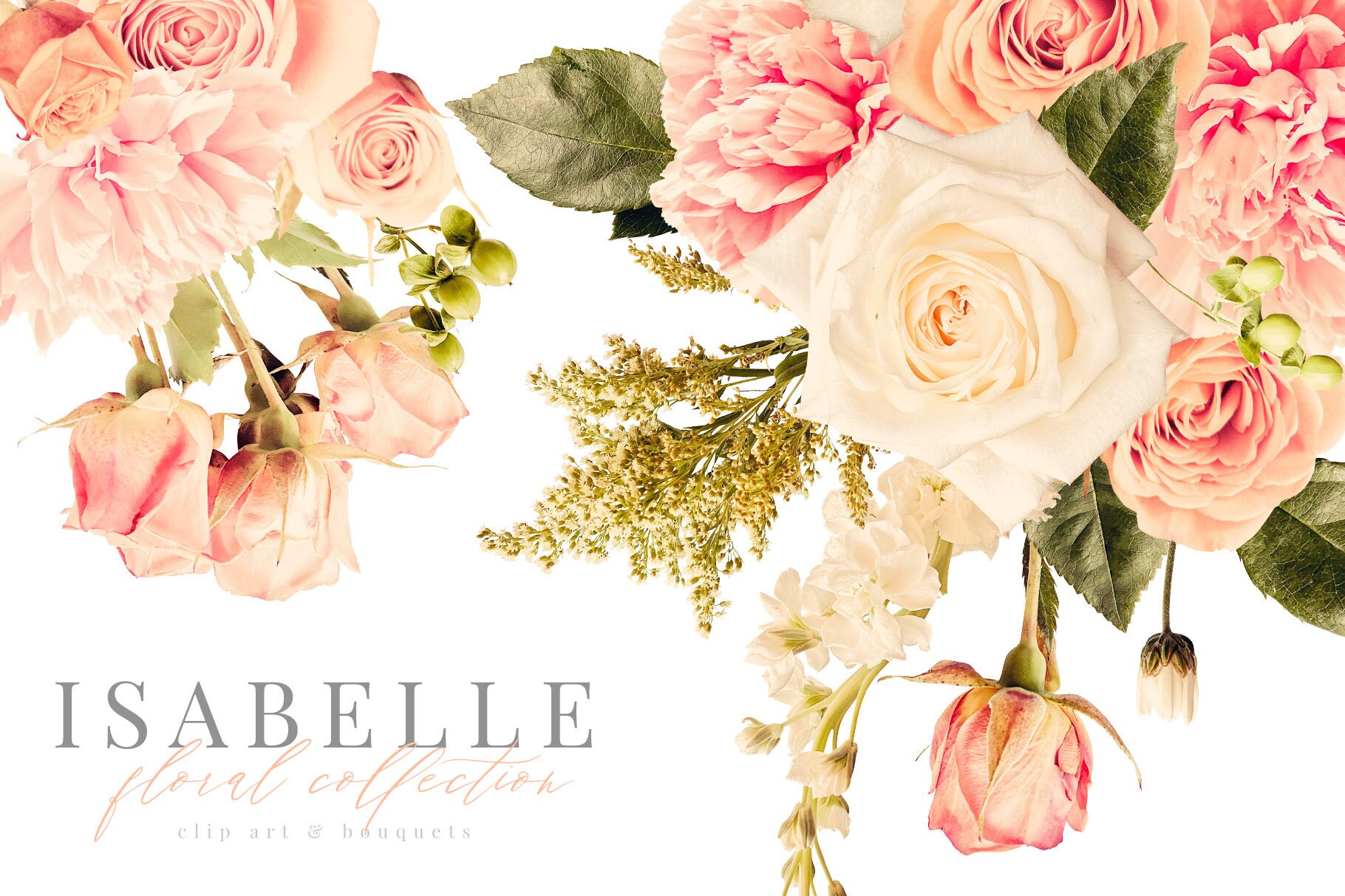 Isabelle Floral Graphics Clip Art Collection Commercial Use | Etsy