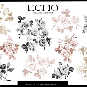 Echo Modern Botanical Floral Clip Art & Digital Graphics Collection ...