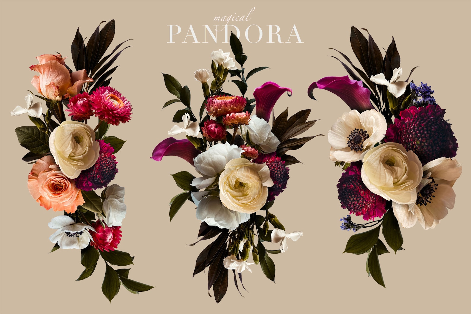Moody Floral Clip Art Set - Transparent PNG Frames, Wreaths & Monograms ...