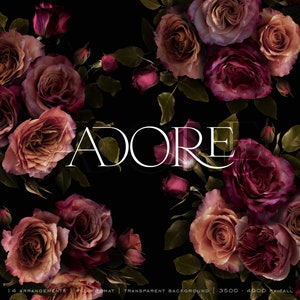 Adore Moody Roses Clip Art - Burgundy Pink Realistic Roses PNG - Frames ...