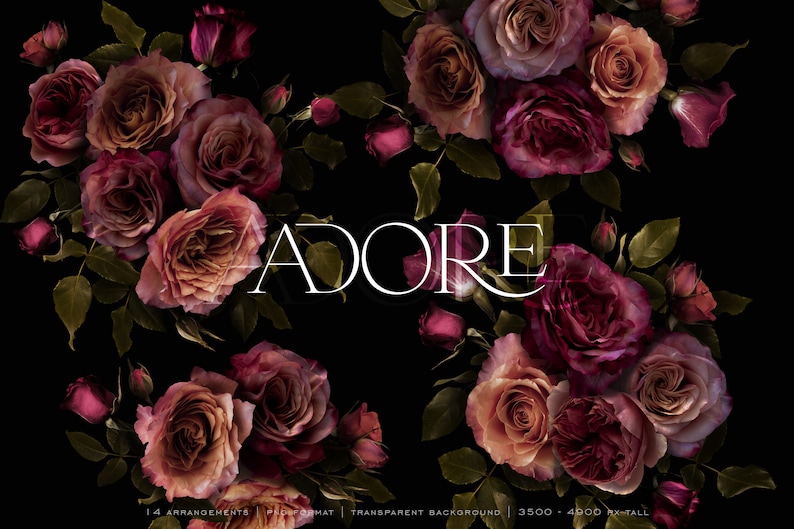Adore Moody Roses Clip Art - Burgundy Pink Realistic Roses PNG - Frames ...