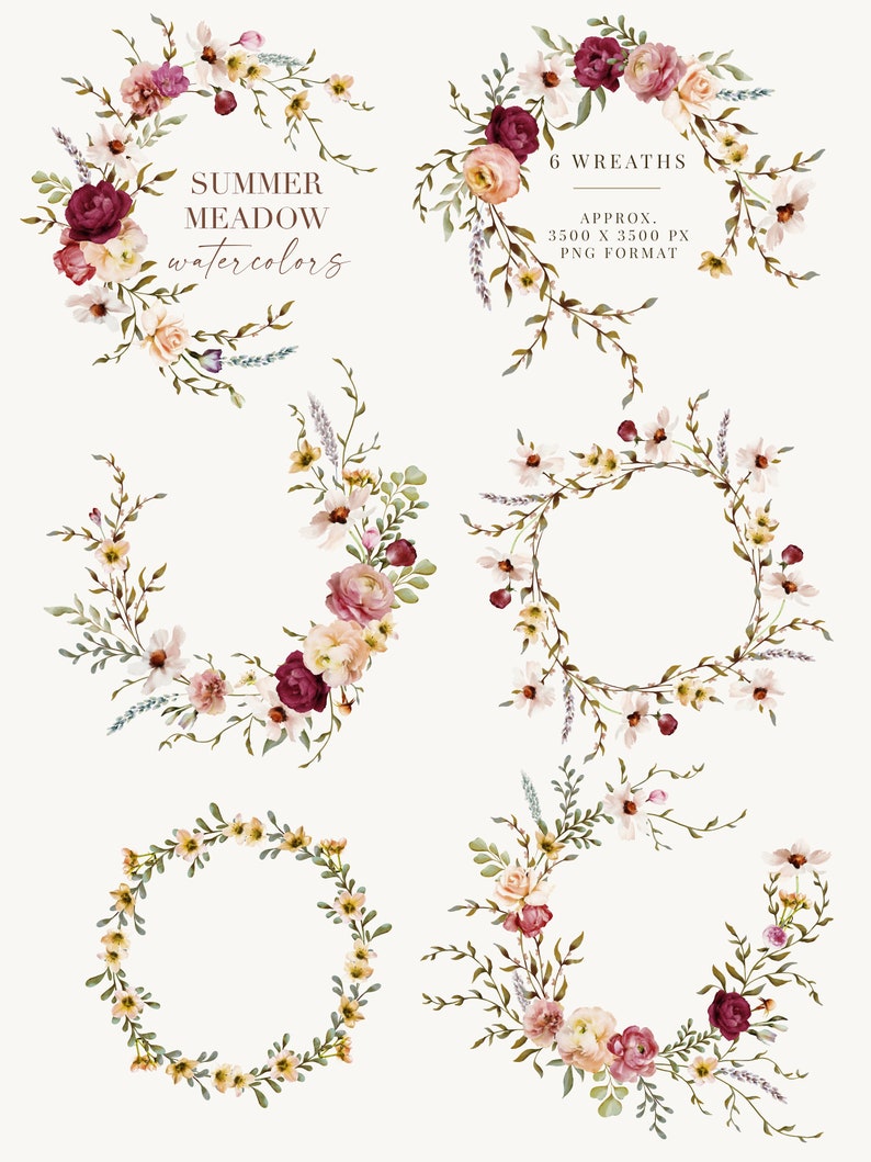 Summer Meadow Watercolor Floral Clip Art & Pattern Graphics Collection ...