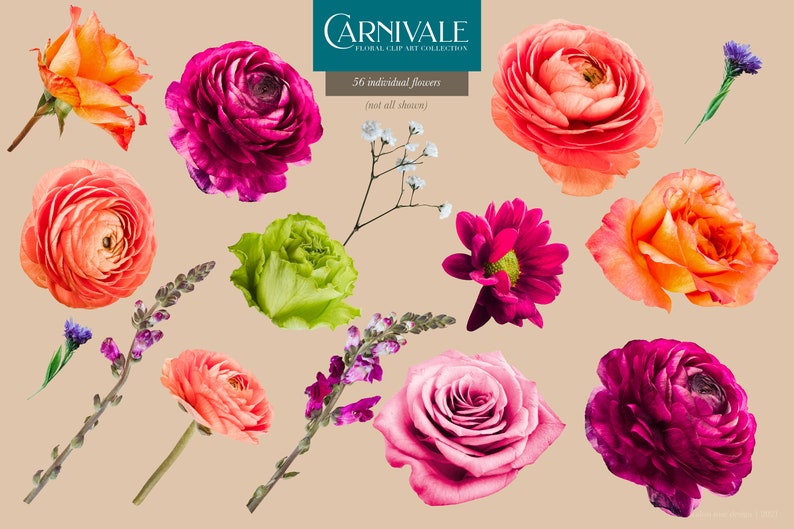 Carnivale Floral Clip Art & Pattern Graphics Collection - Commercial ...