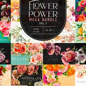 Flower Power Clipart Graphics Bundle Vol 3 - Commercial Use - Etsy UK