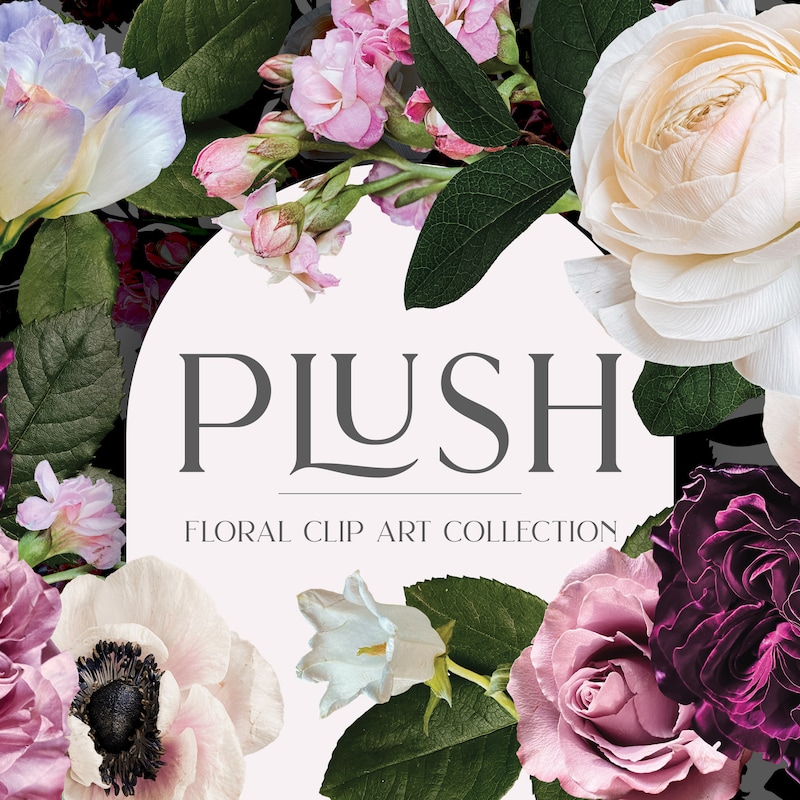 Floral Graphics - Etsy