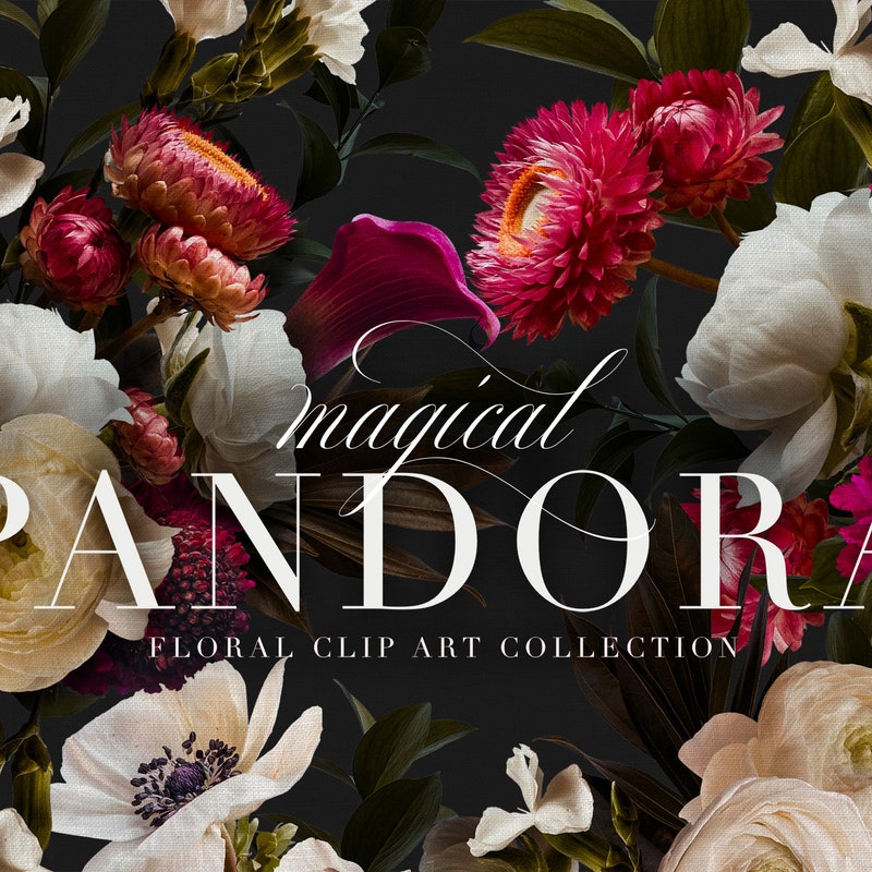 Moody Transparent Sticker - Etsy UK