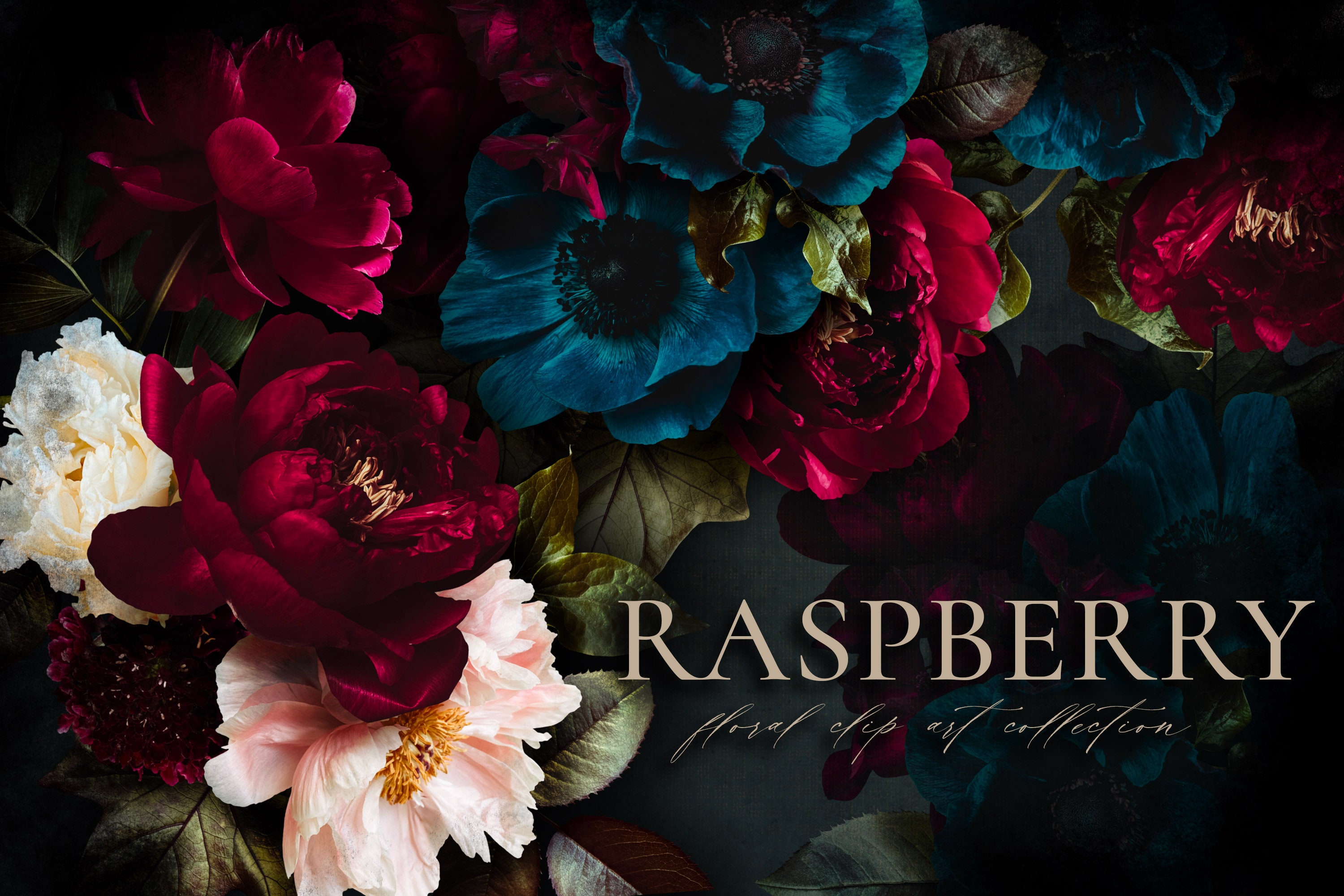 Raspberry Floral Clip Art & Pattern Graphics Collection Commercial Use ...