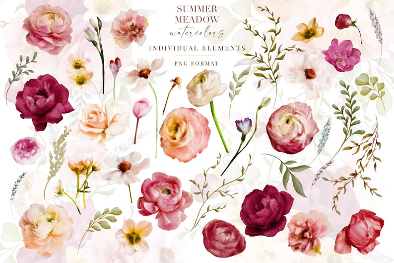 Summer Meadow Watercolor Floral Clip Art & Pattern Graphics Collection ...