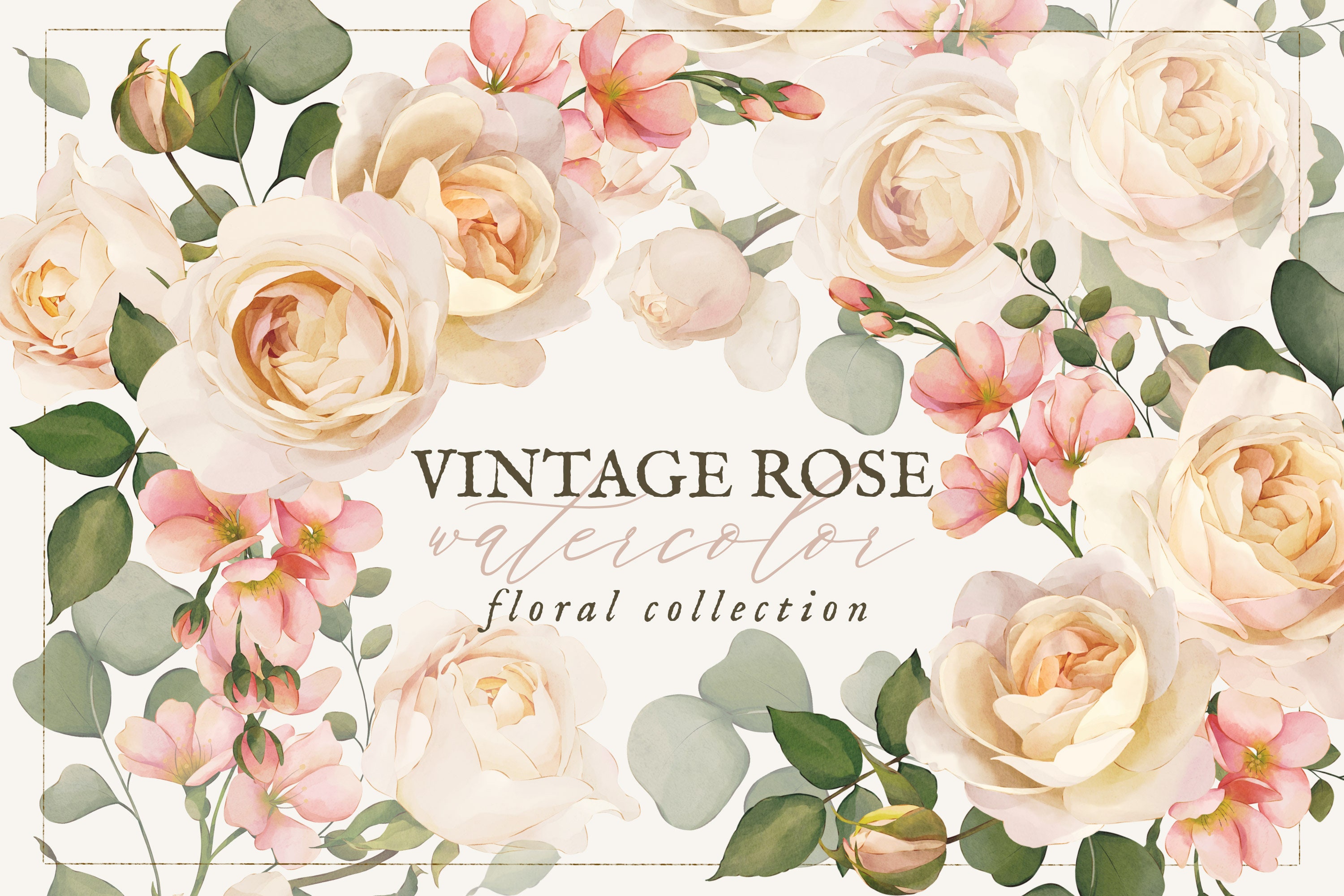 Vintage Rose Watercolor Floral Graphics Collection - Etsy