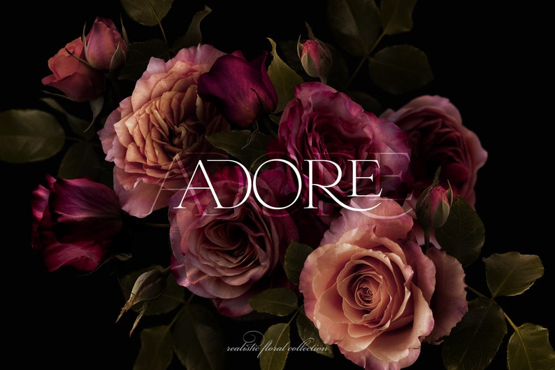 Adore Moody Roses Clip Art - Burgundy Pink Realistic Roses PNG - Frames ...
