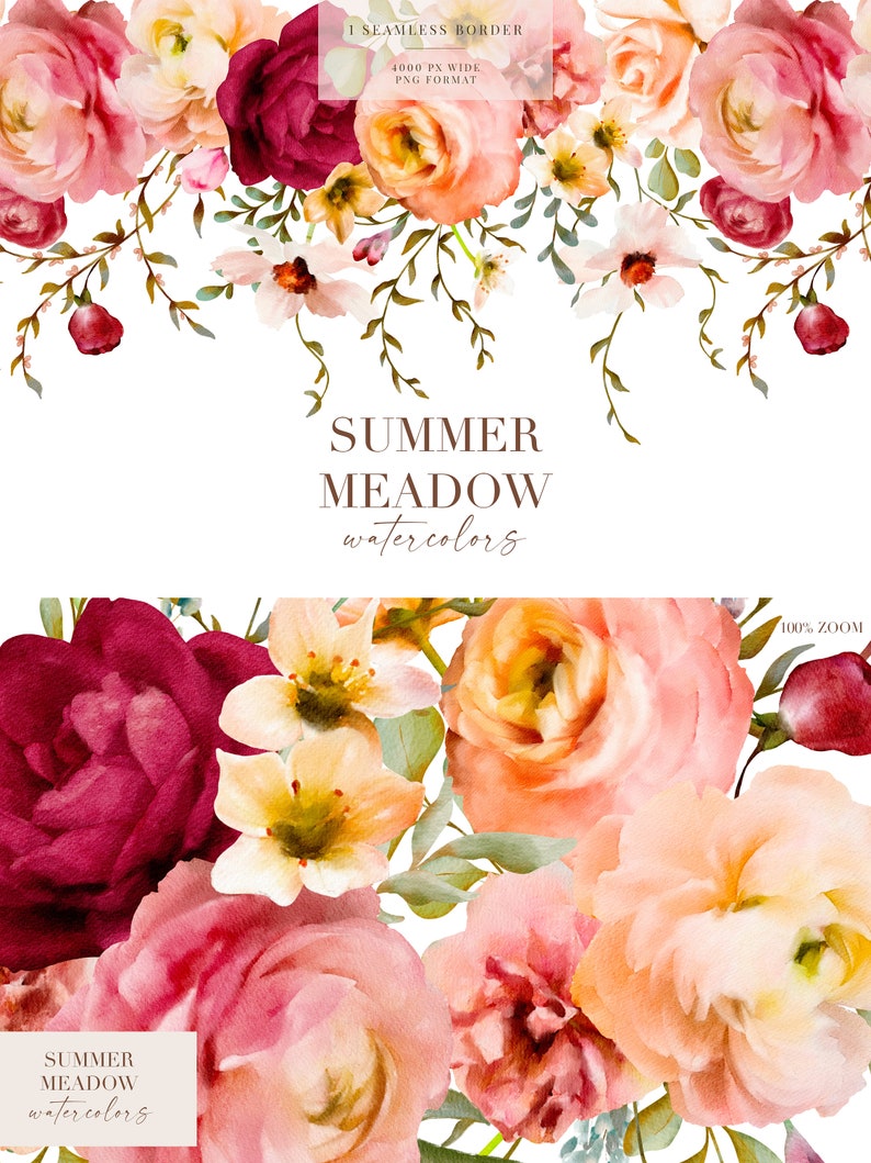 Summer Meadow Watercolor Floral Clip Art & Pattern Graphics Collection ...