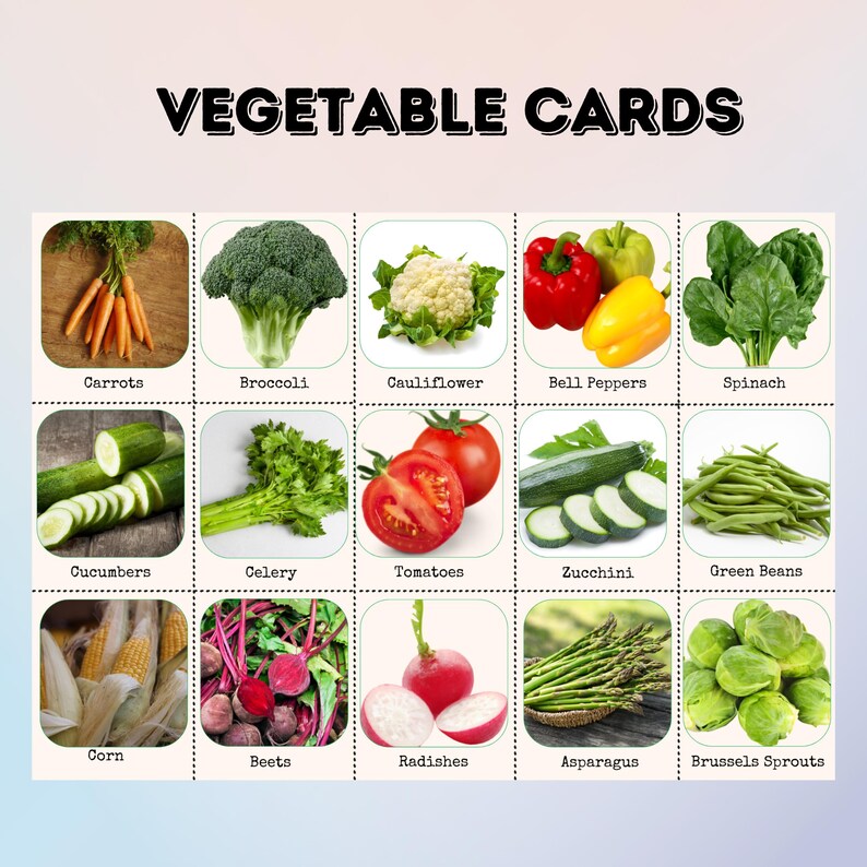 Meal Planner Schedule Behavior Chart and Task Cards for Kids Visual Aid ...