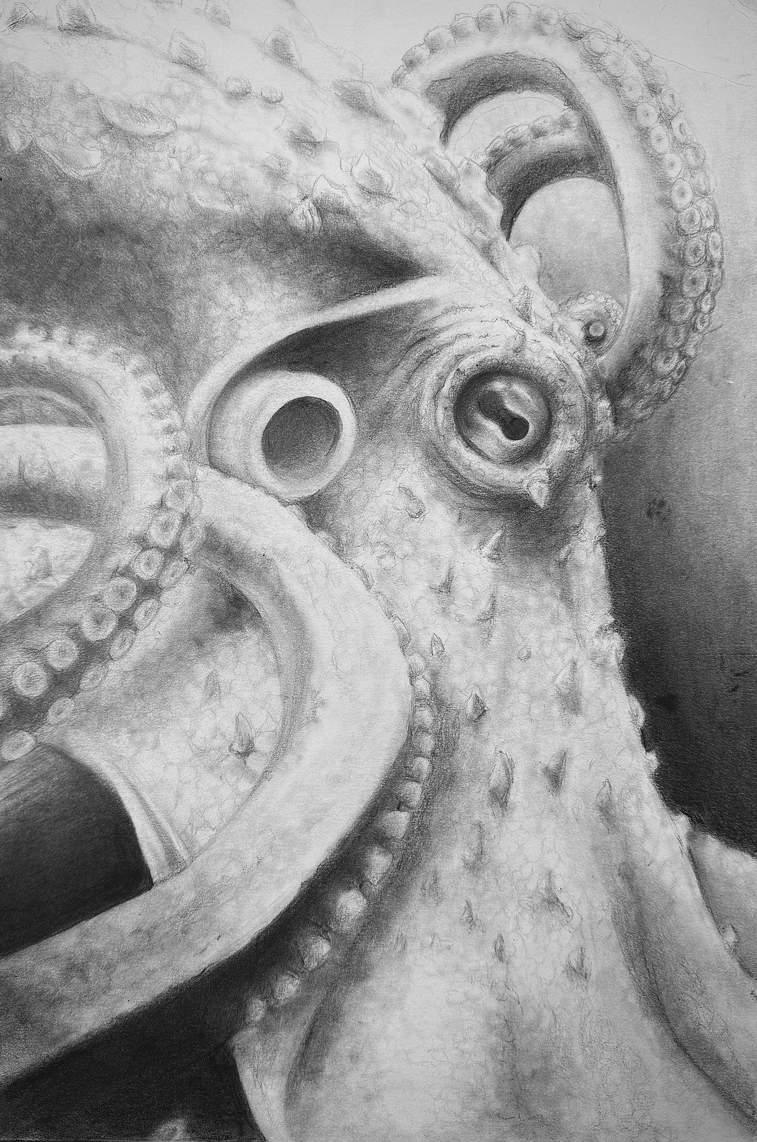 Signed Original Print: alienus 2024 - Etsy
