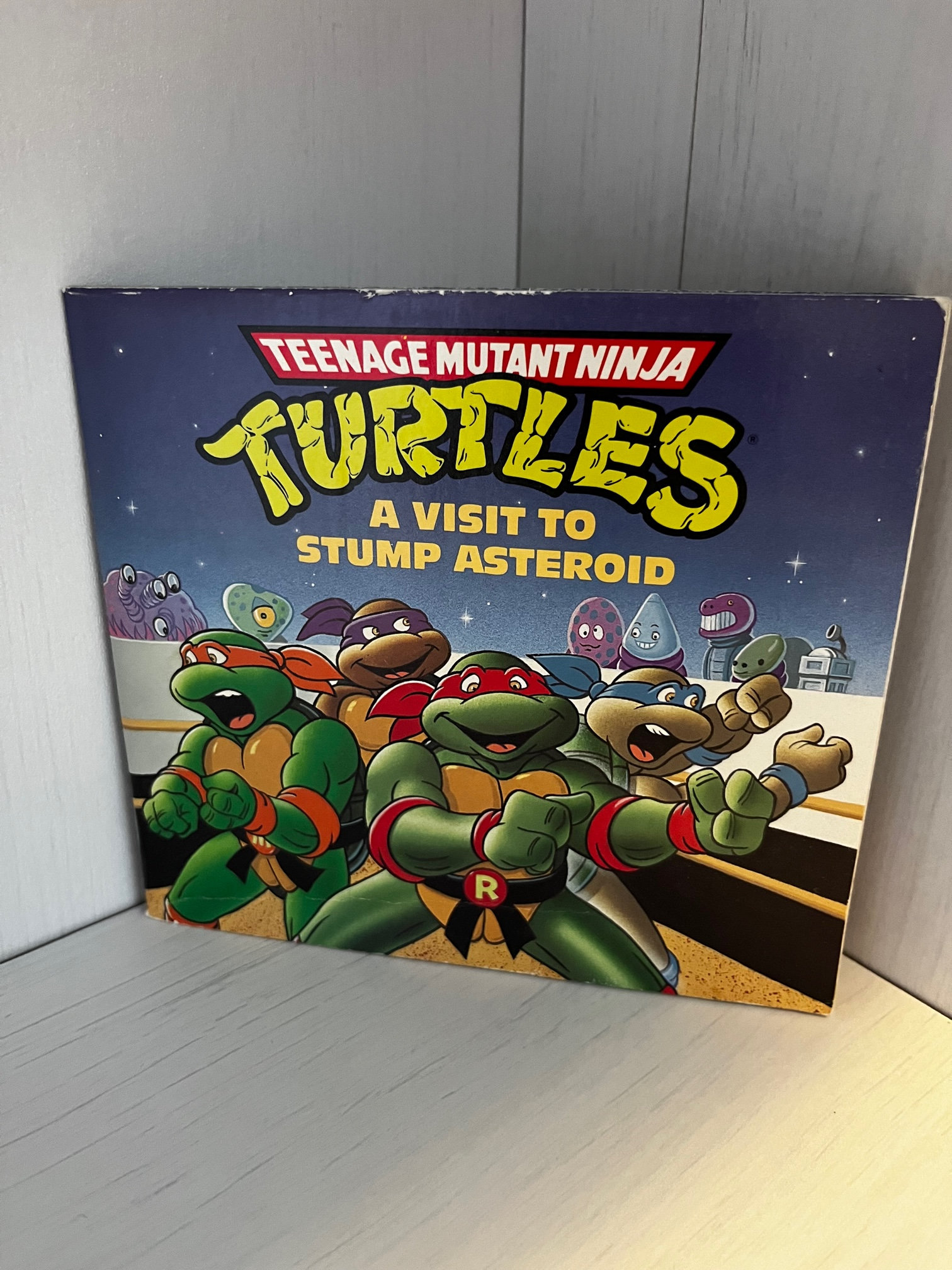 Teenage Mutant Ninja Turtles A Visit to Stump Asteroid - Etsy