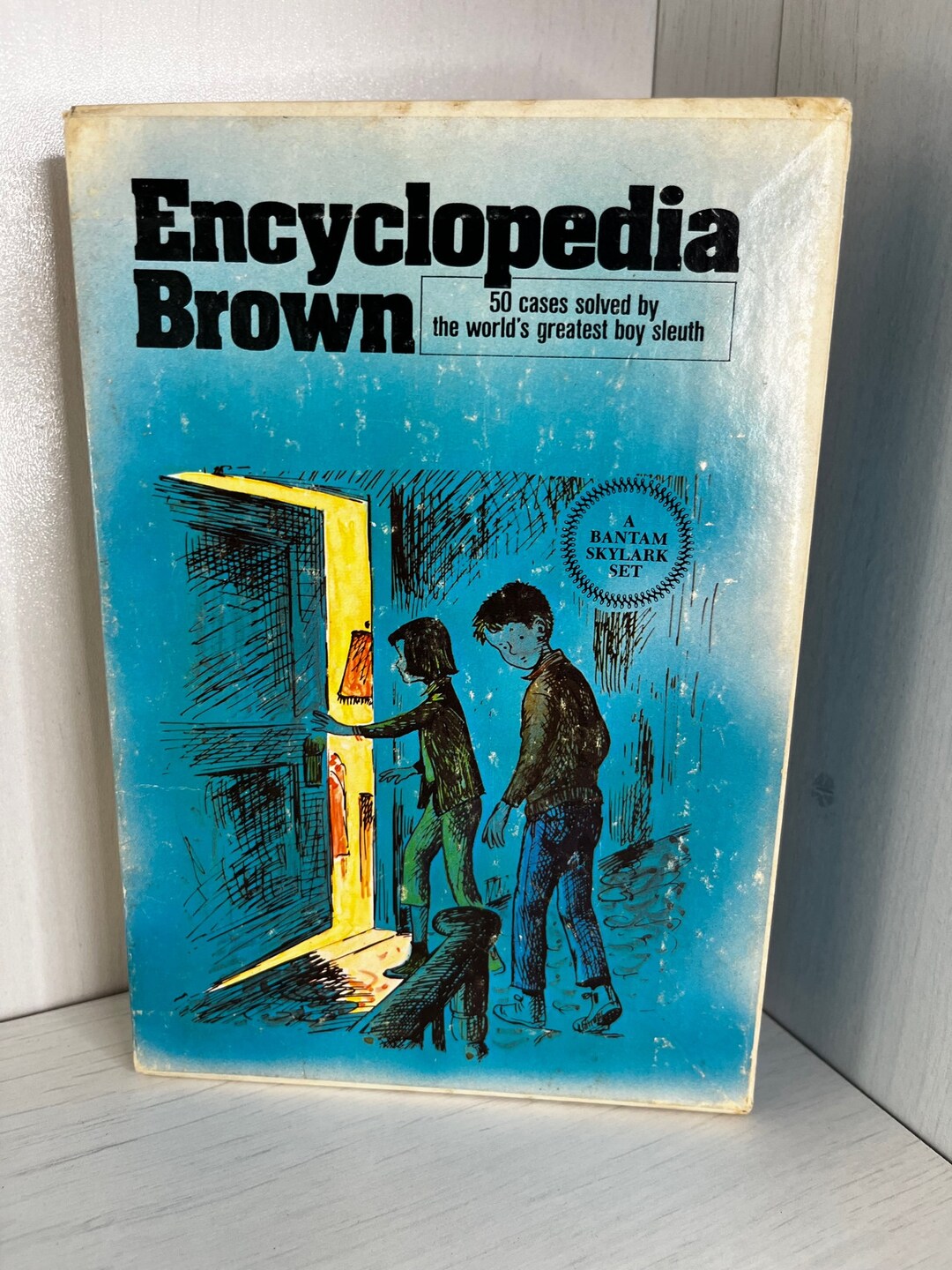 Encyclopedia Brown by Donald Sobol Box Set Books 1-6 - Etsy UK