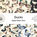 Illustrated Ducks Digital Paper Pack | Seamless Patterns (instant ...