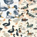 Illustrated Ducks Digital Paper Pack | Seamless Patterns (instant ...