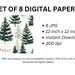 Snowy Pine Trees Digital Paper: Winter Forest Backgrounds (instant ...
