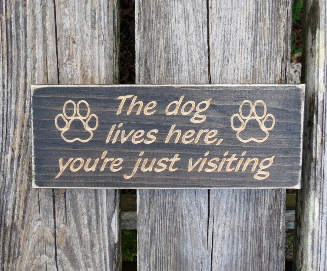 The Dog Lives Here Sign,dog Sign,dog,sign,dogs,pet Sign,wood Sign,wall ...