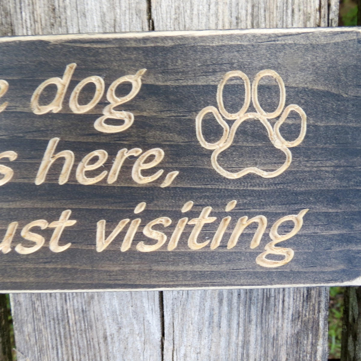 The Dog Lives Here Sign,dog Sign,dog,sign,dogs,pet Sign,wood Sign,wall ...