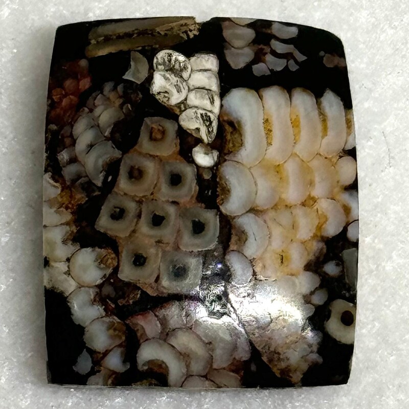 Snakeskin Agate - Etsy