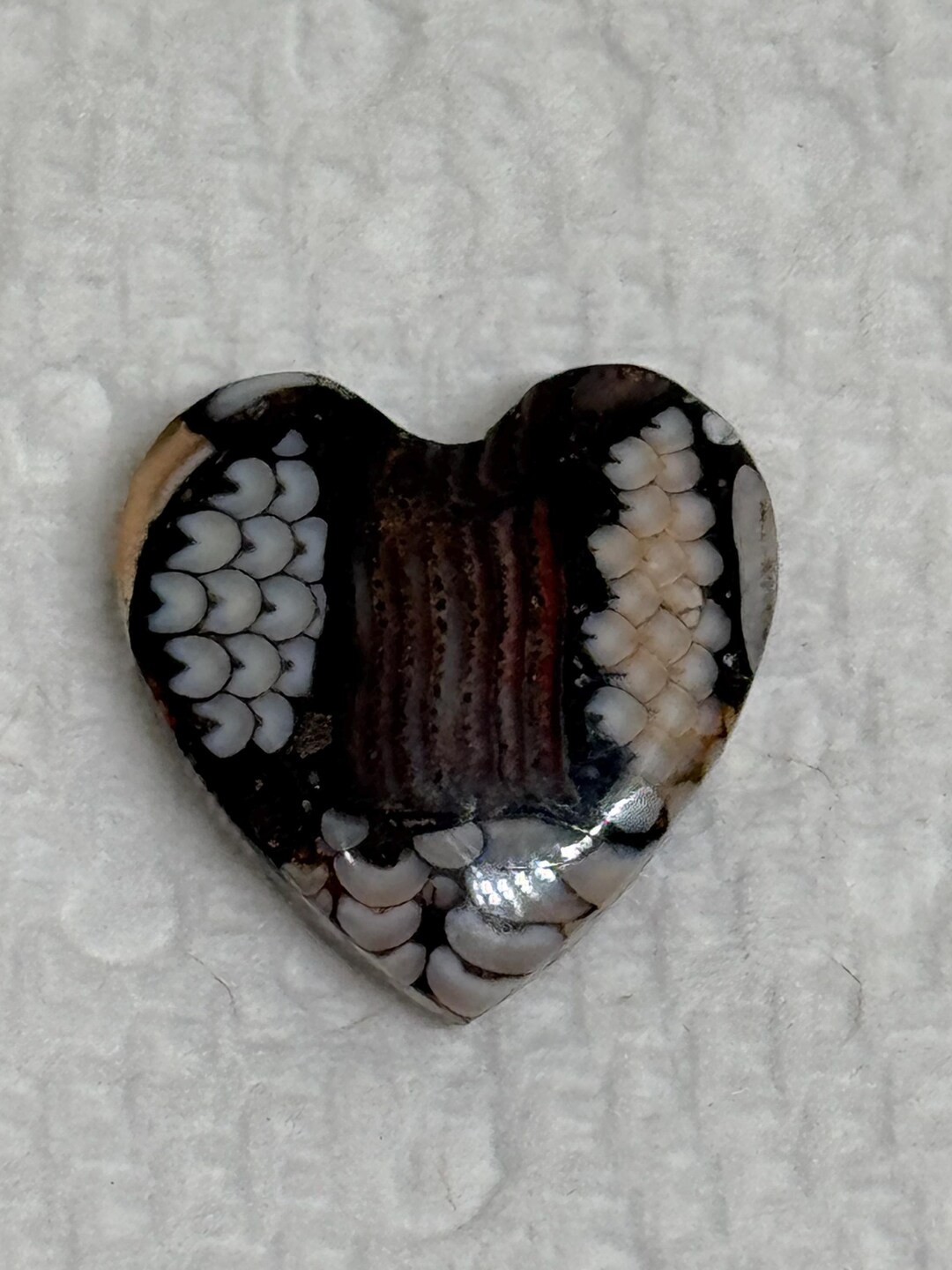 Unique Wrasse Fossil, Snakeskin Agate, Heart Cabochon, Lots of Patterns ...