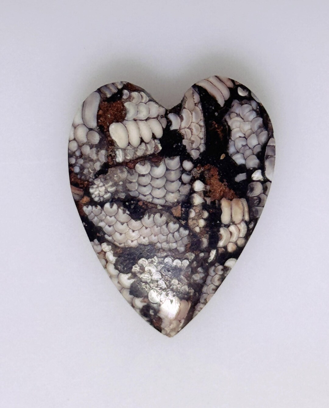 Large Wrasse Fossil Heart Shaped Cabochon, Snakeskin Agate, Lots of ...