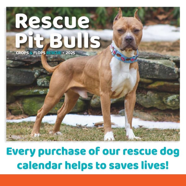 Pit Bull - Etsy