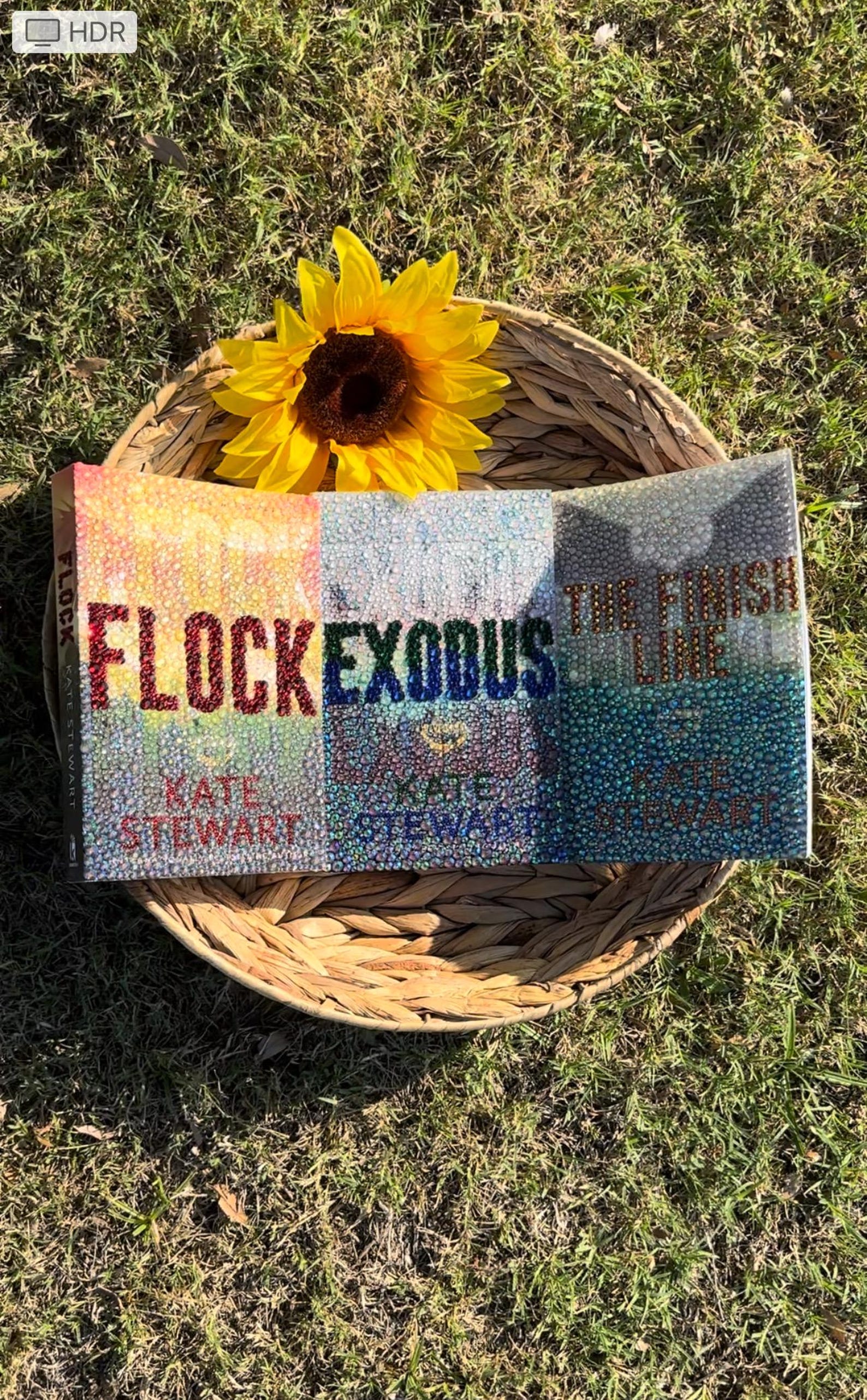 Flock, Exodus, and the Finish Line by Kate Stewart, Bedazzled ...