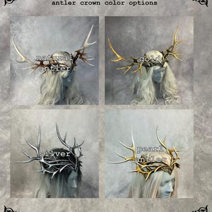 Druid Antler Crown - Etsy