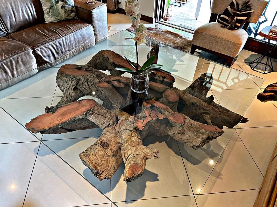 Tree Root Coffee Table Made From Solid Wood With Natural Shape and A ...