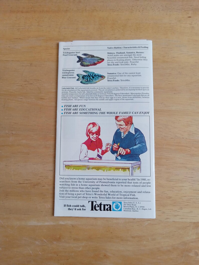 Fish Are Fun Guide the Golden Rules for a Successful Aquarium, Vintage ...