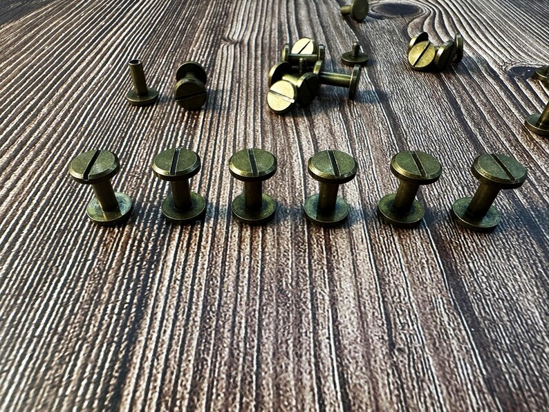 10 Sets 10mm Solid Brass Chicago Screw Rivets for Leather Flat Head ...