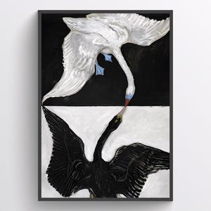 Yin Yang Swans Art Print: Digital Illustration of Black and White Swans ...