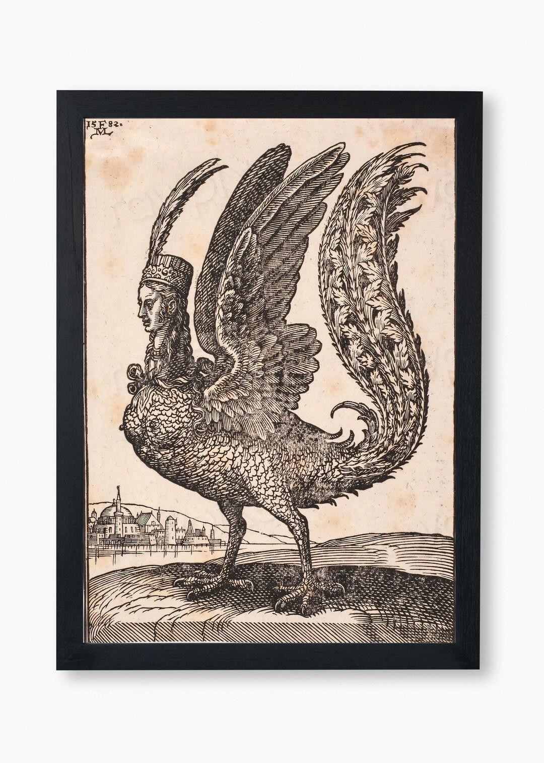 Harpy, Bird of Hell - Mythical Creature Art, Fantasy Renaissance Decor ...